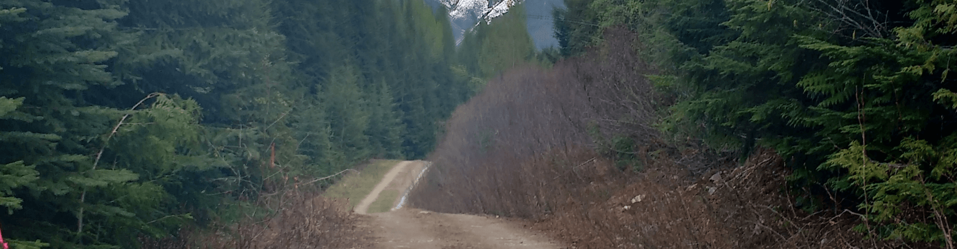 A Hiker's Route via Teck Powerline. Alternate Route to the Trans Canada ...